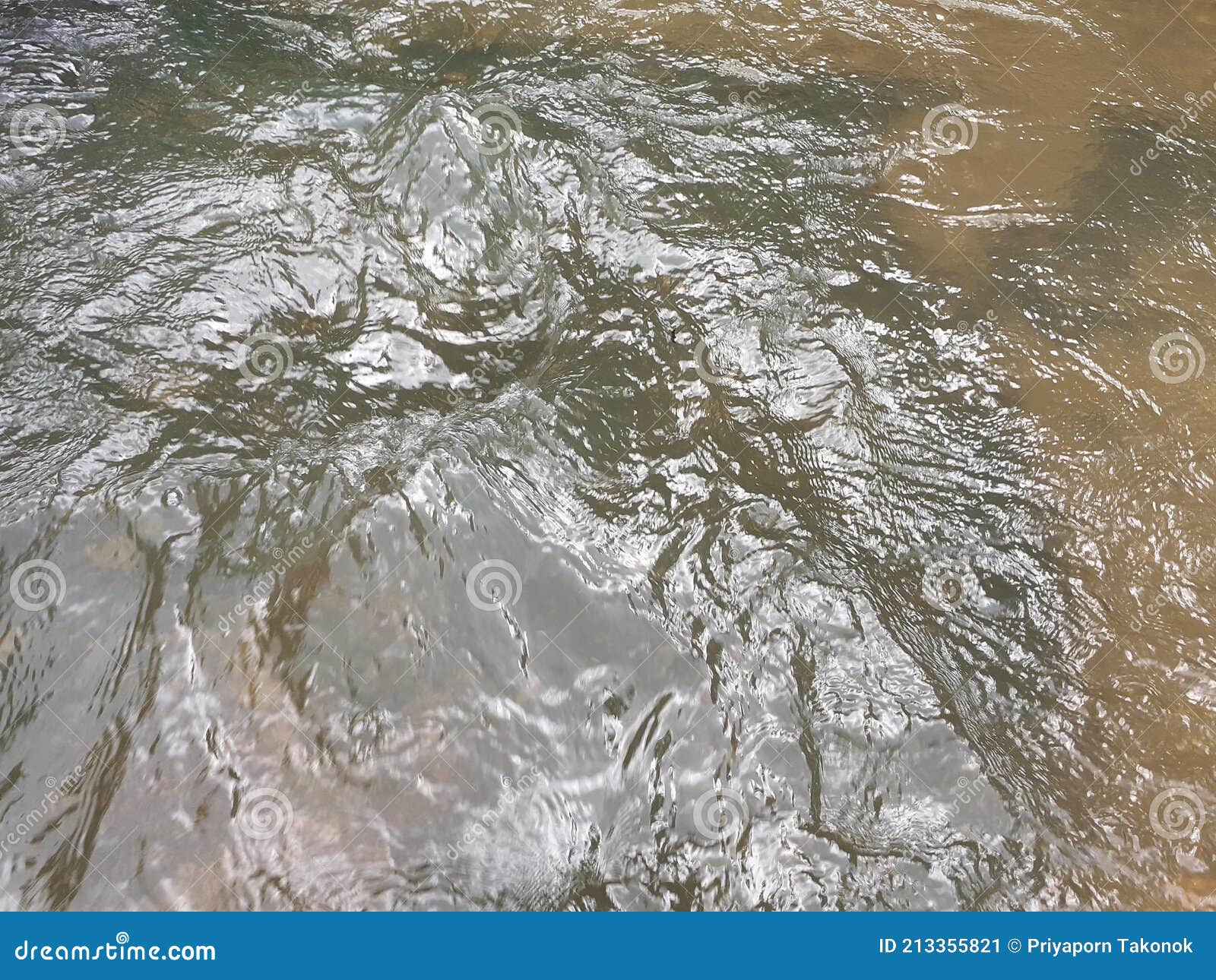 Nature of Water Surface is Wavy in a River, with that Flows through ...