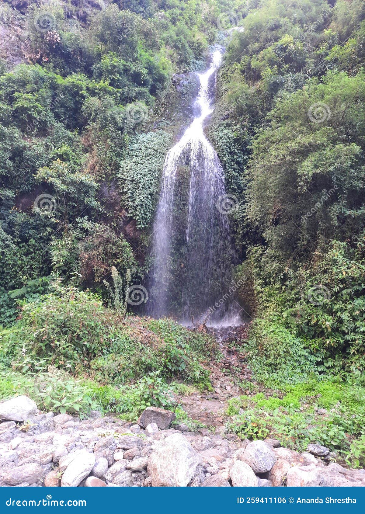 Nature Waterfall Green Environment Stock Photo - Image of plant, rock ...
