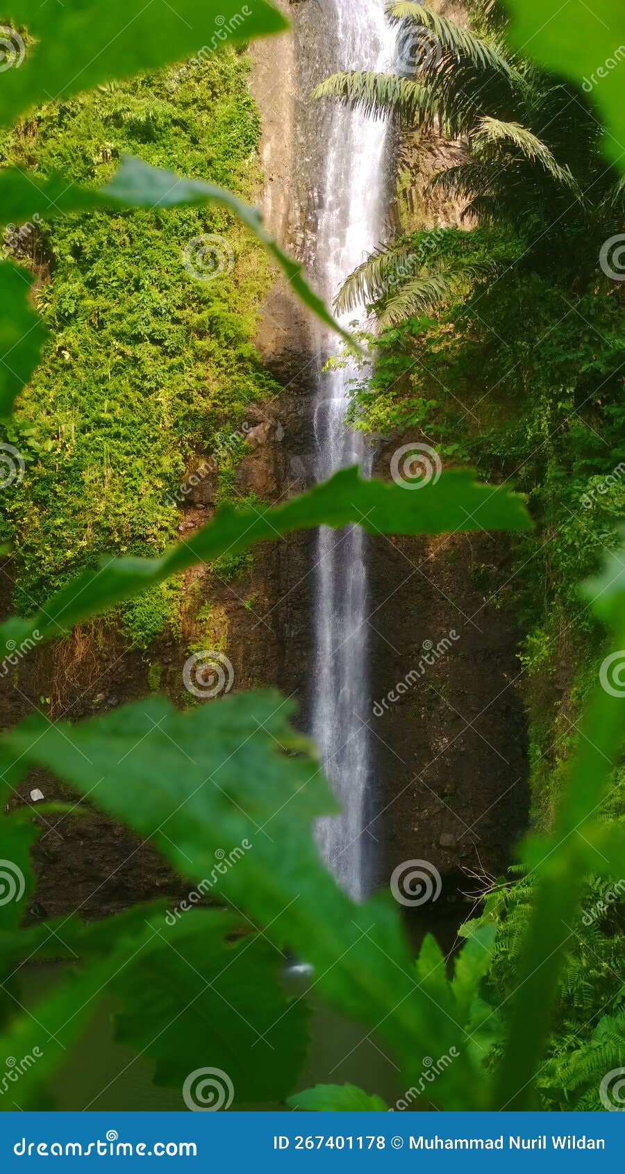 Nature Waterfall with Green Leaf in Other Side Stock Photo - Image of ...