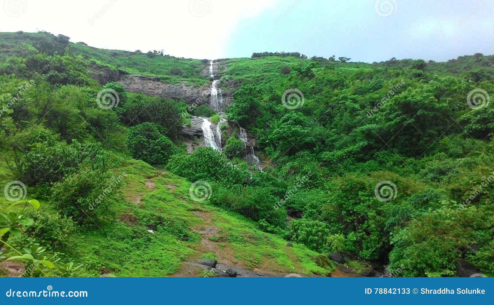 Nature stock image. Image of waterfall, greenery, nature - 78842133