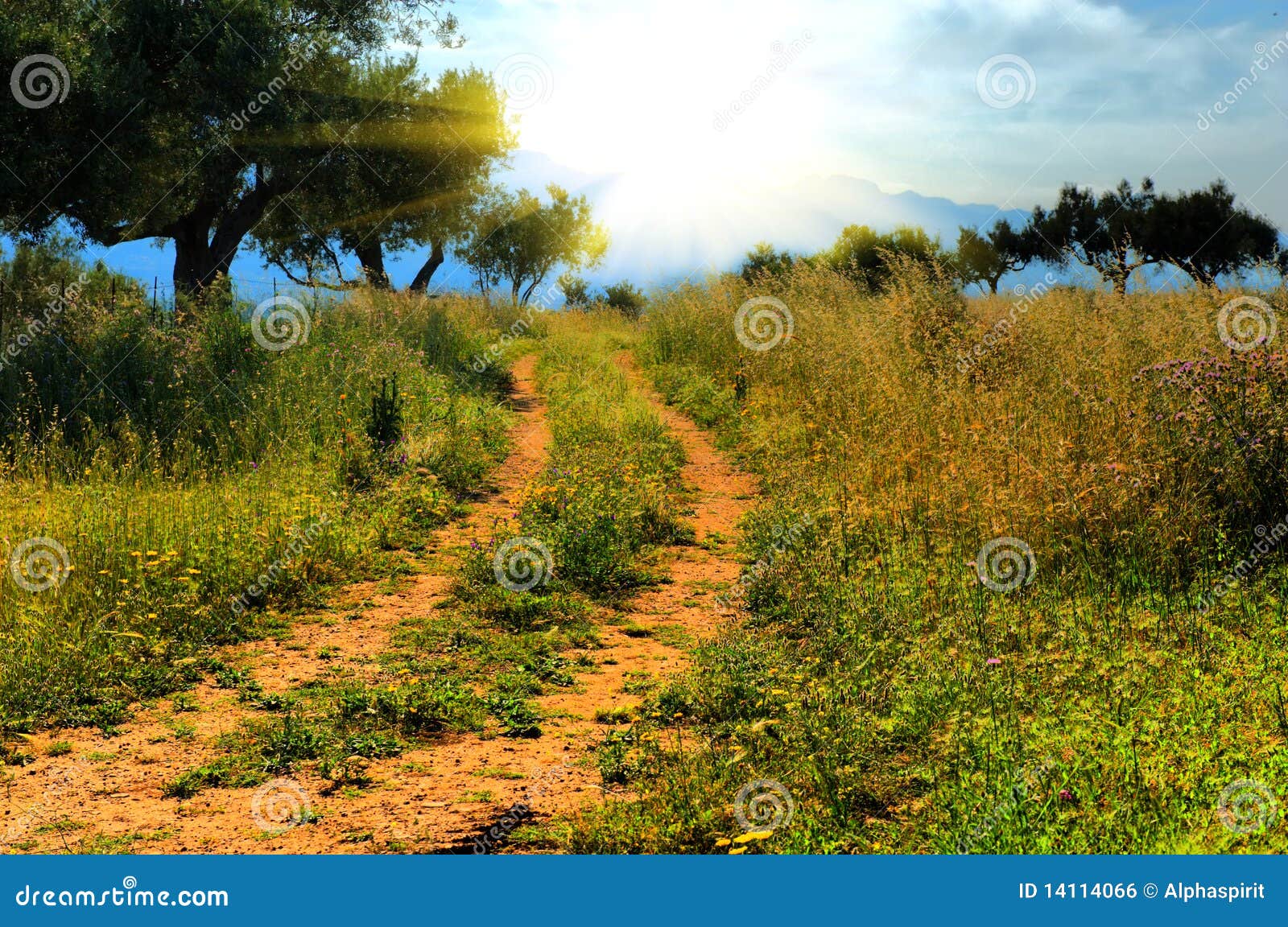 Nature way stock photo. Image of road, horizon, cloud - 14114066