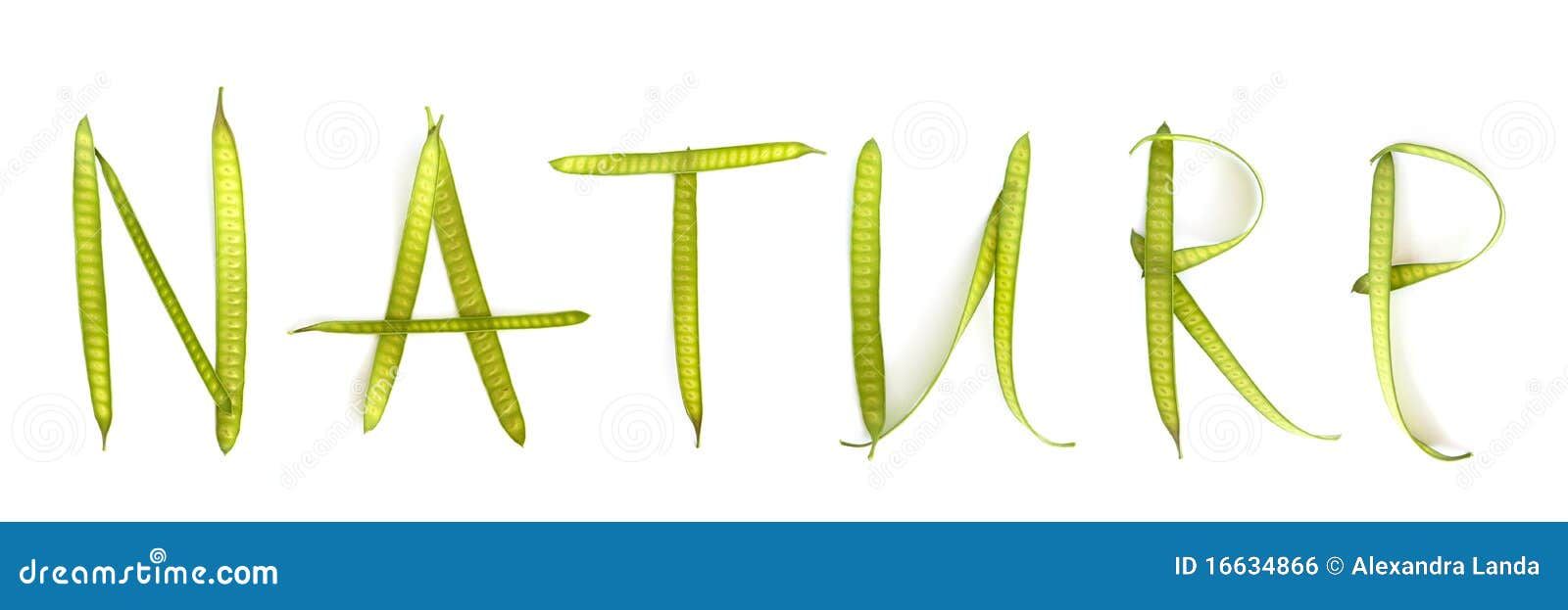 Nature on a White Background Stock Photo - Image of background, text ...