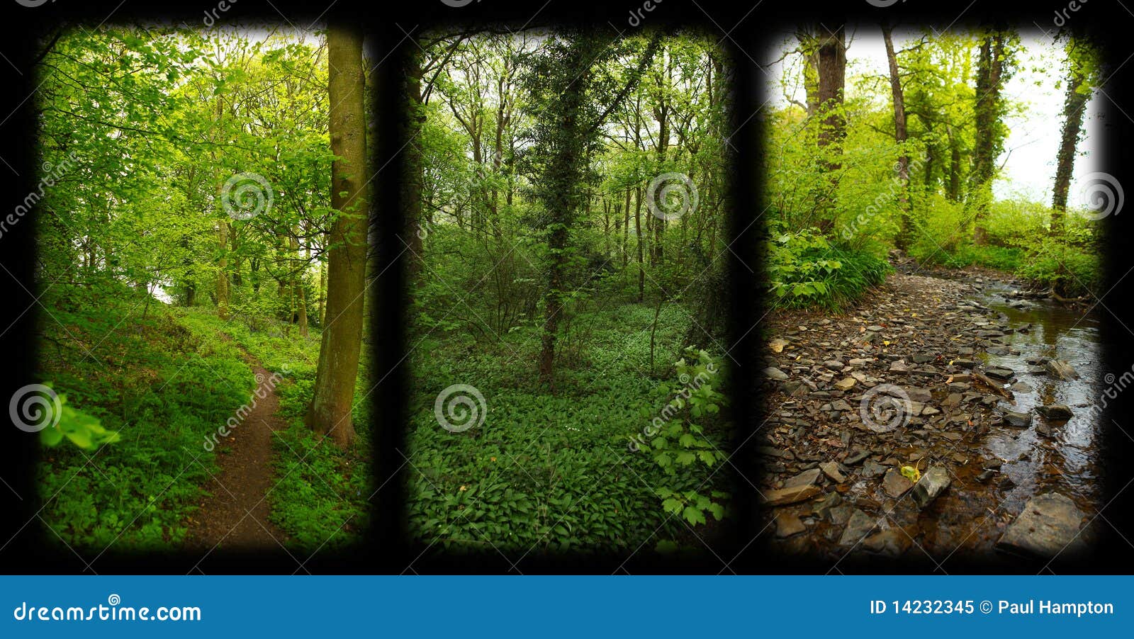 Nature Window stock image. Image of walk, color, sunray - 14232345