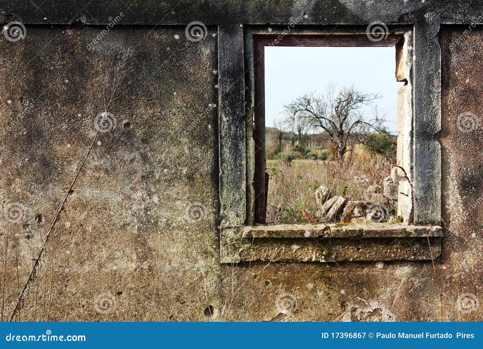 Nature Window II stock image. Image of bright, home, foliage - 17396867