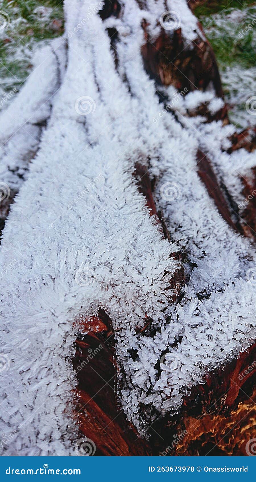 Nature Winter Ice Abstracts Backgrounds Closeup Stock Photo - Image of ...
