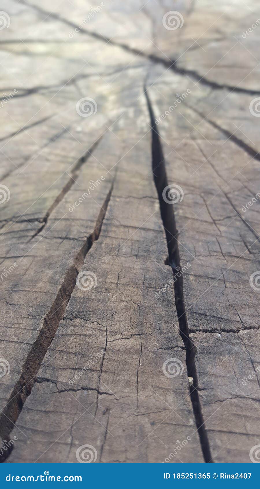 Nature wood Cracks stock image. Image of flooring, nature - 185251365