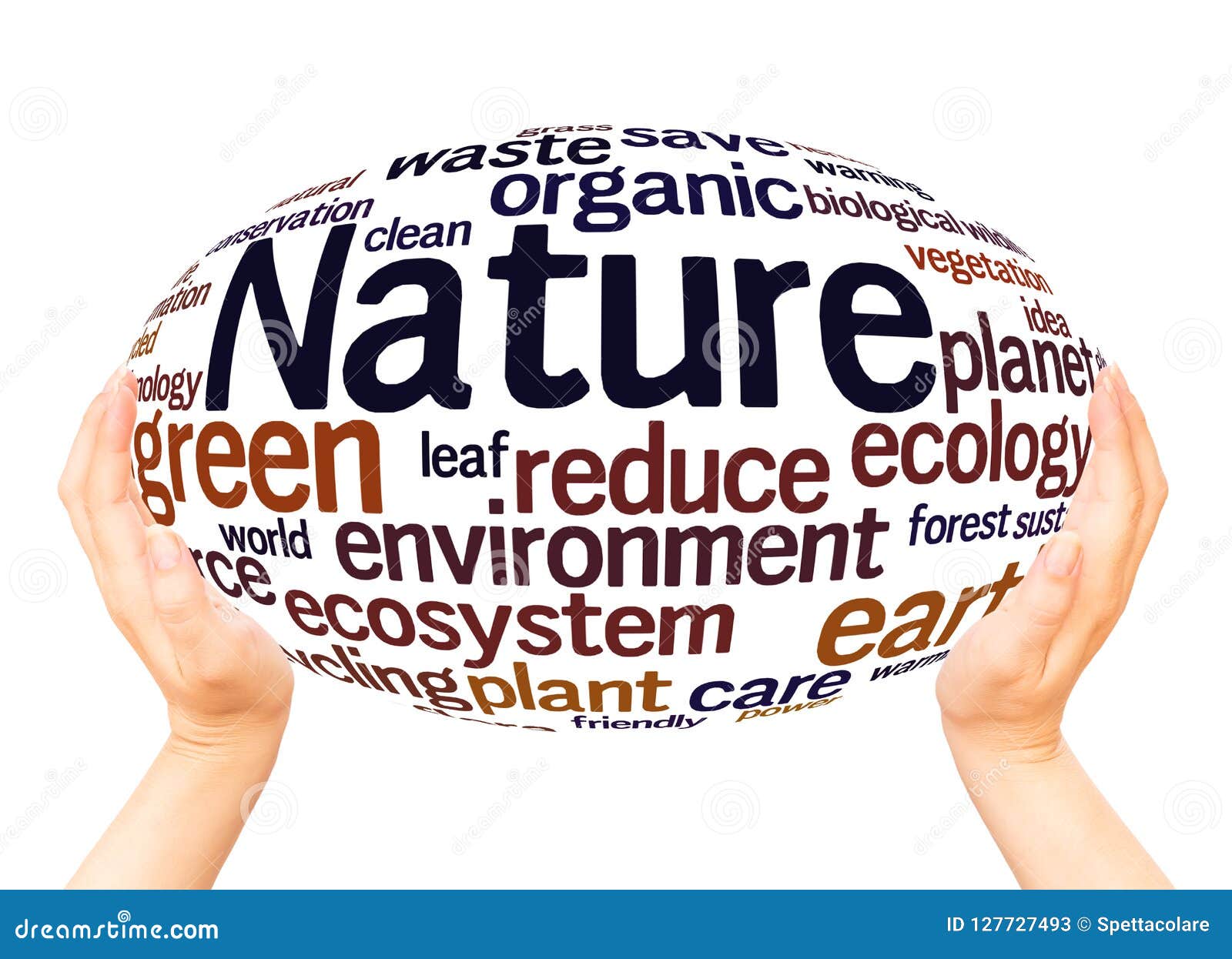 Nature Word Cloud Hand Sphere Concept Stock Illustration - Illustration ...