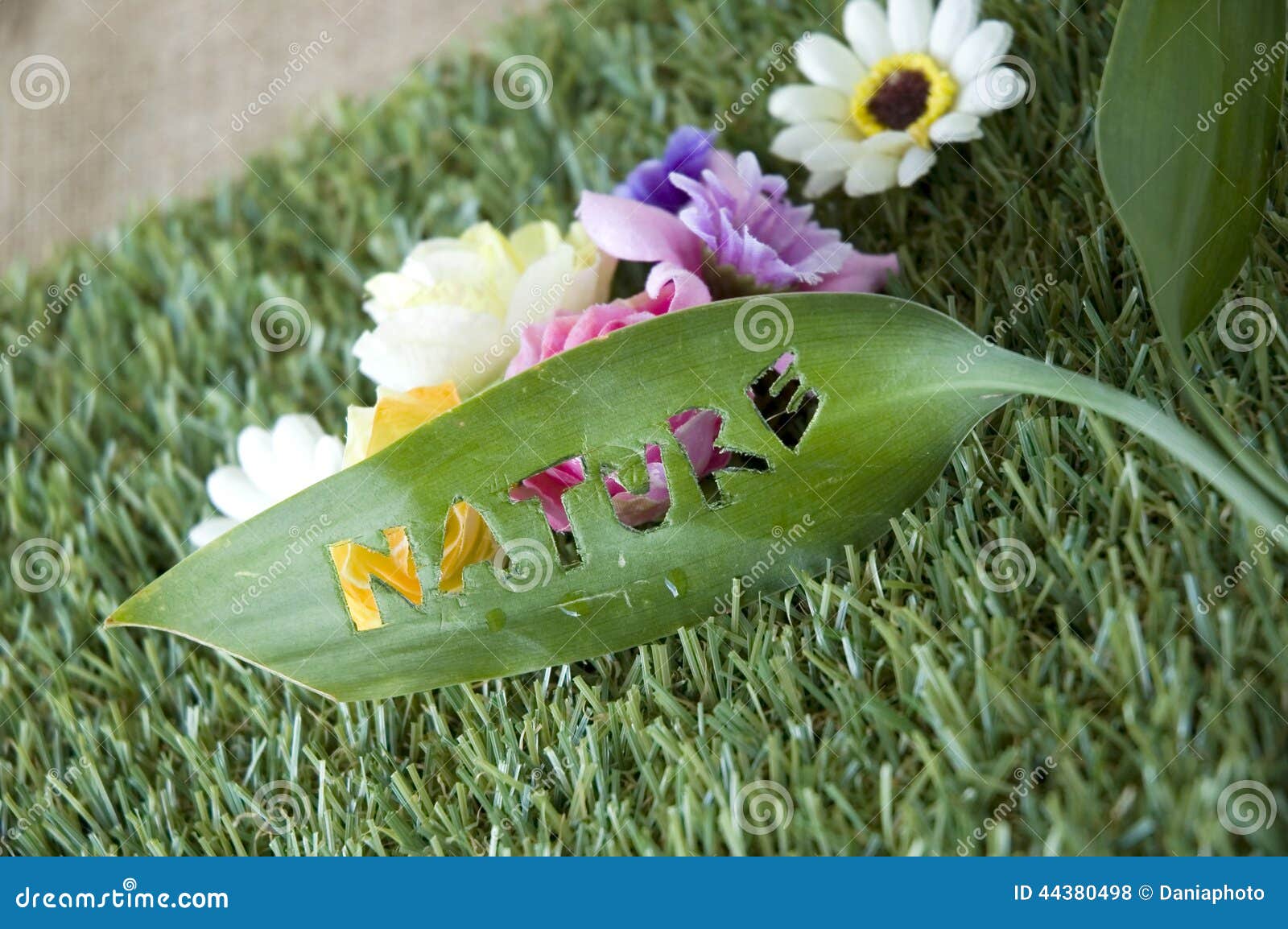 Nature wording on leaf stock photo. Image of leaf, fresh - 44380498