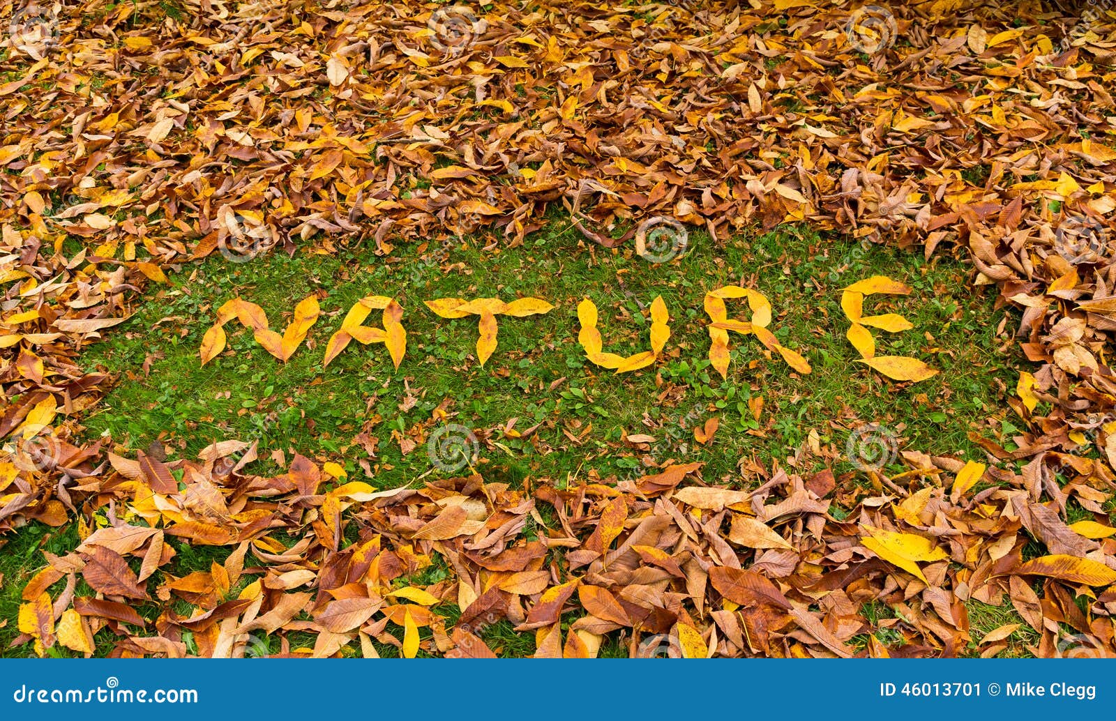 Nature stock image. Image of artistic, text, lots, concept - 46013701