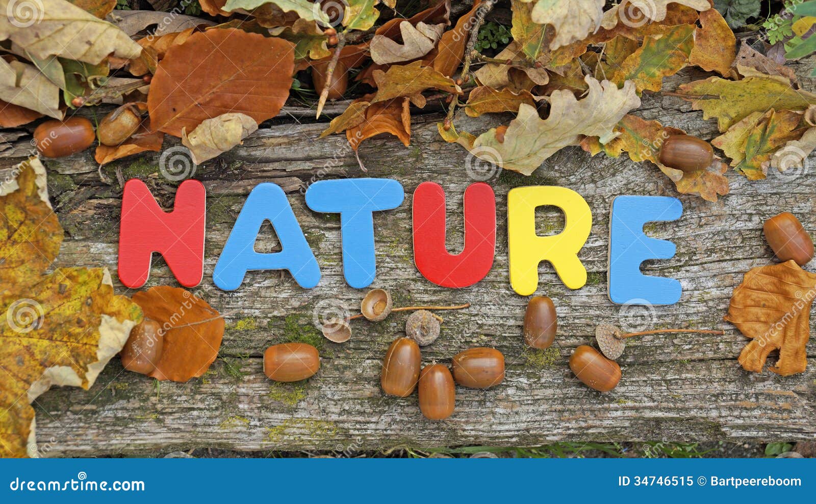 Nature written in Autumn stock image. Image of color - 34746515