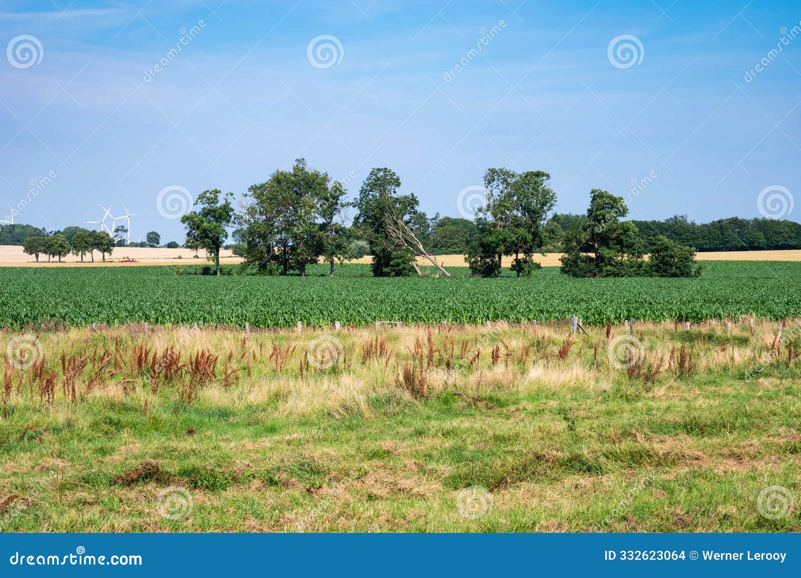 Nature Zone with Agriculture Fields at the Seaside Around Neukirchen ...