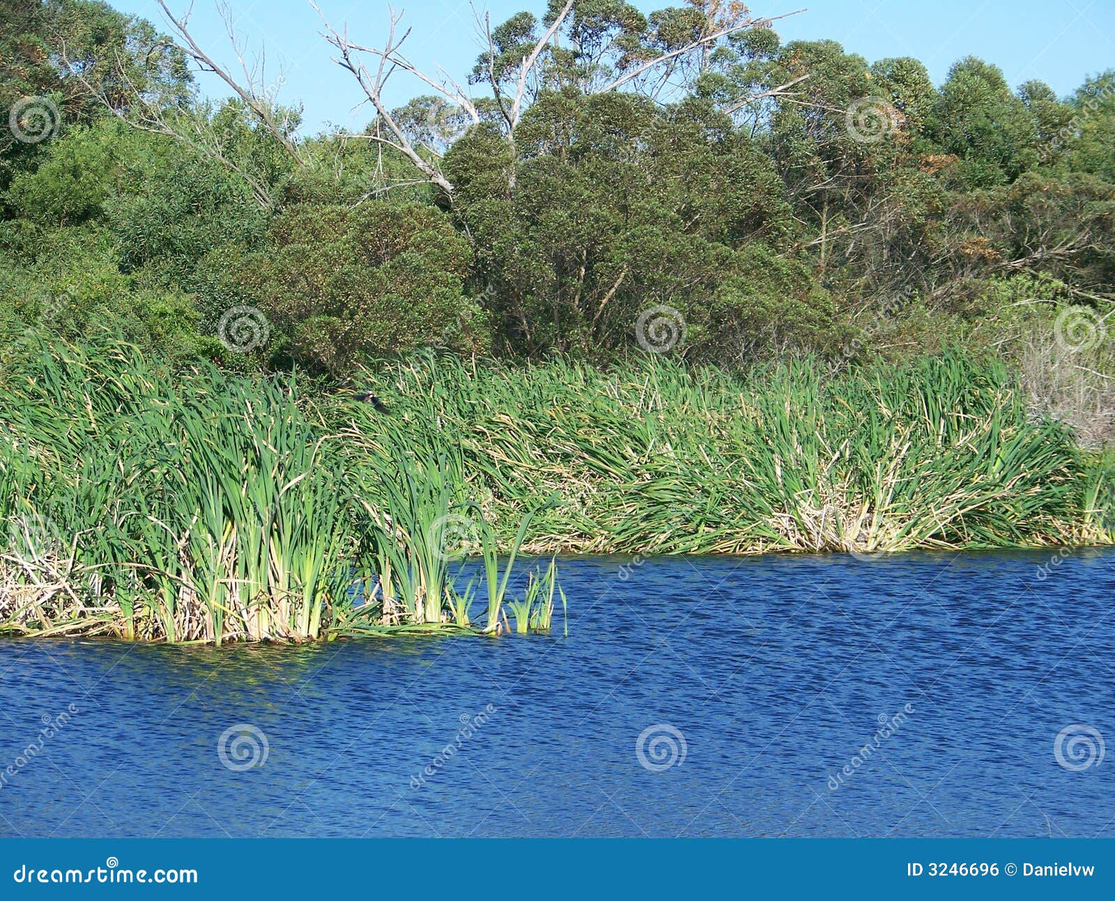 Nature01 stock photo. Image of blue, nature, lagoon, lagoons - 3246696