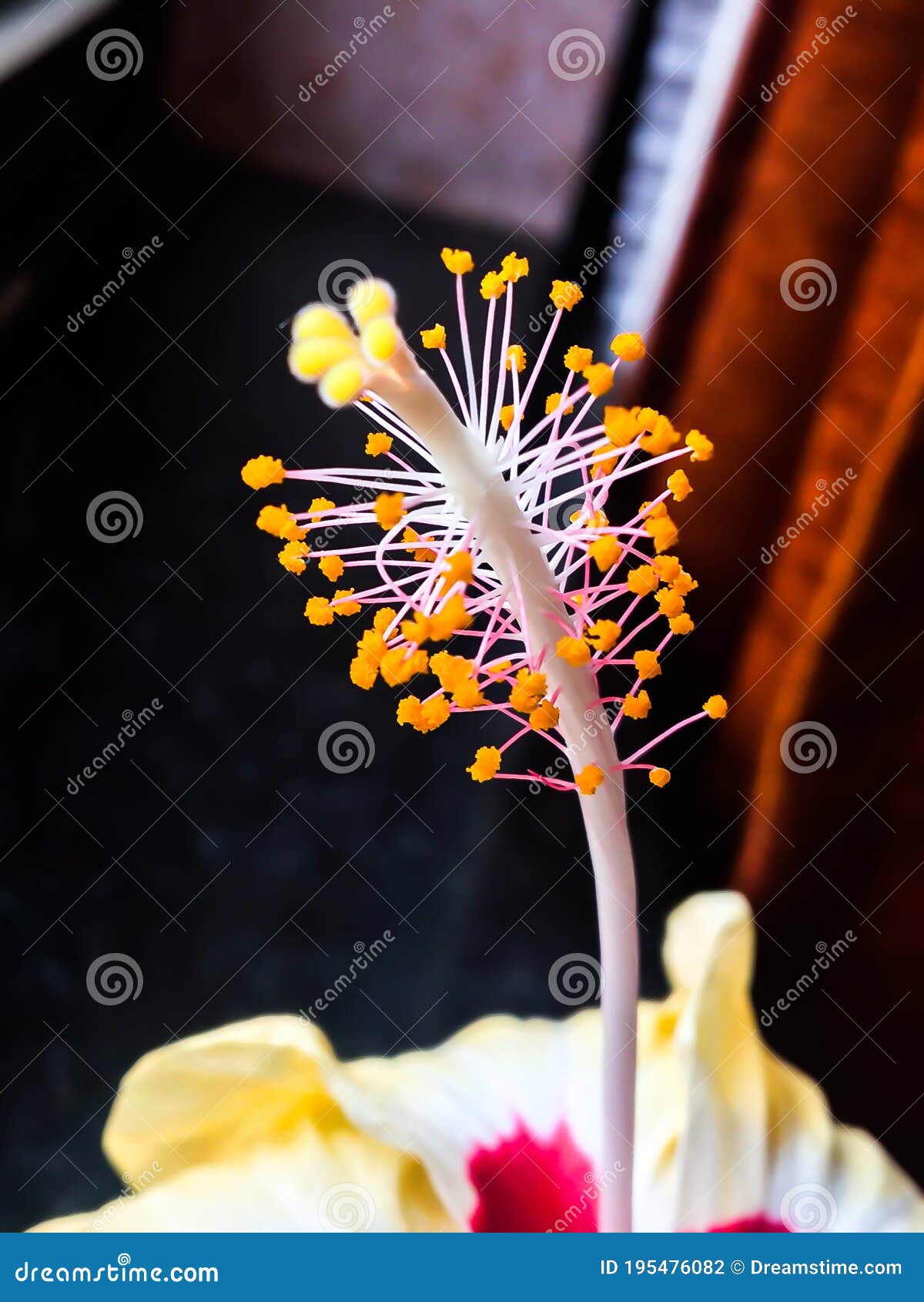 Spring is the Perfect Time To Rejoice and Enjoy the Beauty of Nature ...