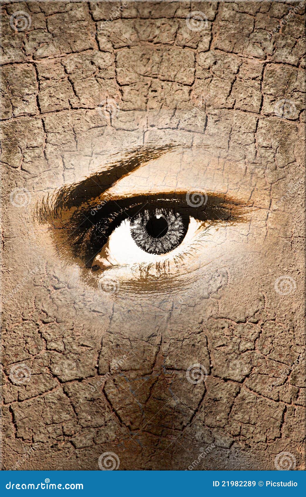 Natures eye stock image. Image of body, concet, bark - 21982289