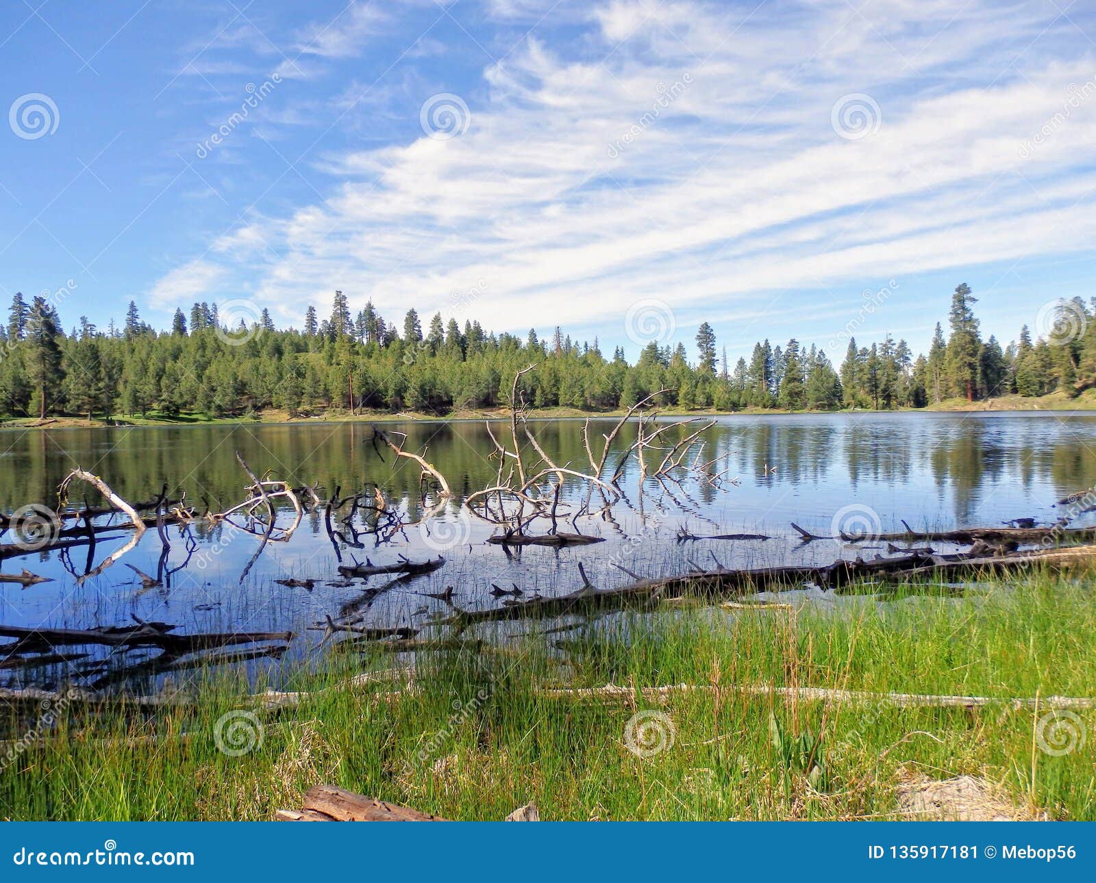 Natures reflection stock image. Image of water, reflection - 135917181