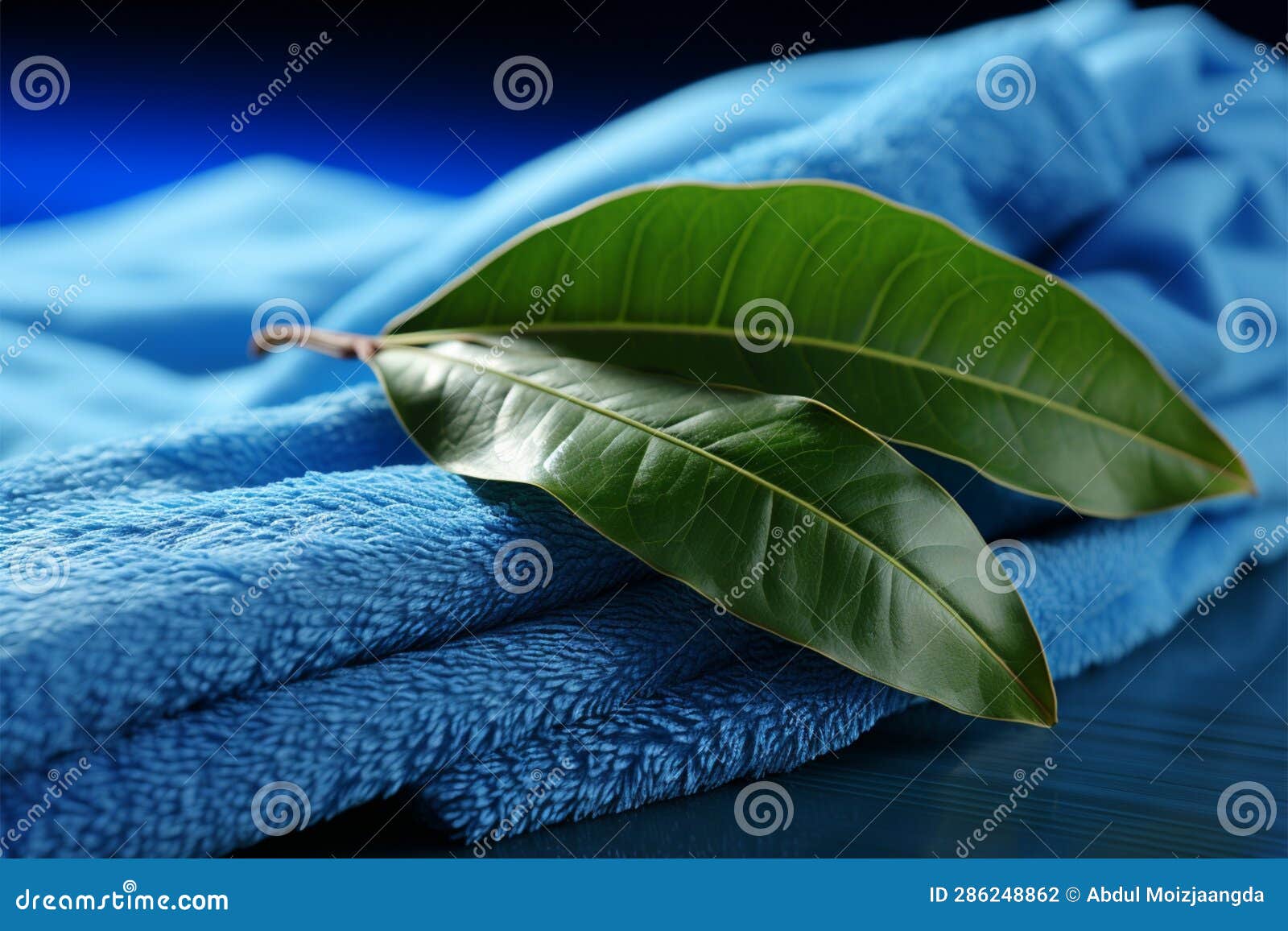 Natures Touch, Leaf and Towel on Calming Blue Stock Illustration ...