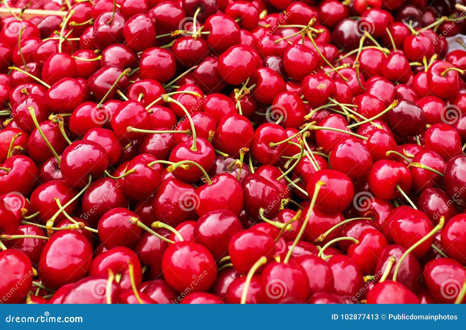 Natuurlijk Voedsel, Fruit, Kers, Opbrengst Picture. Image: 102877413