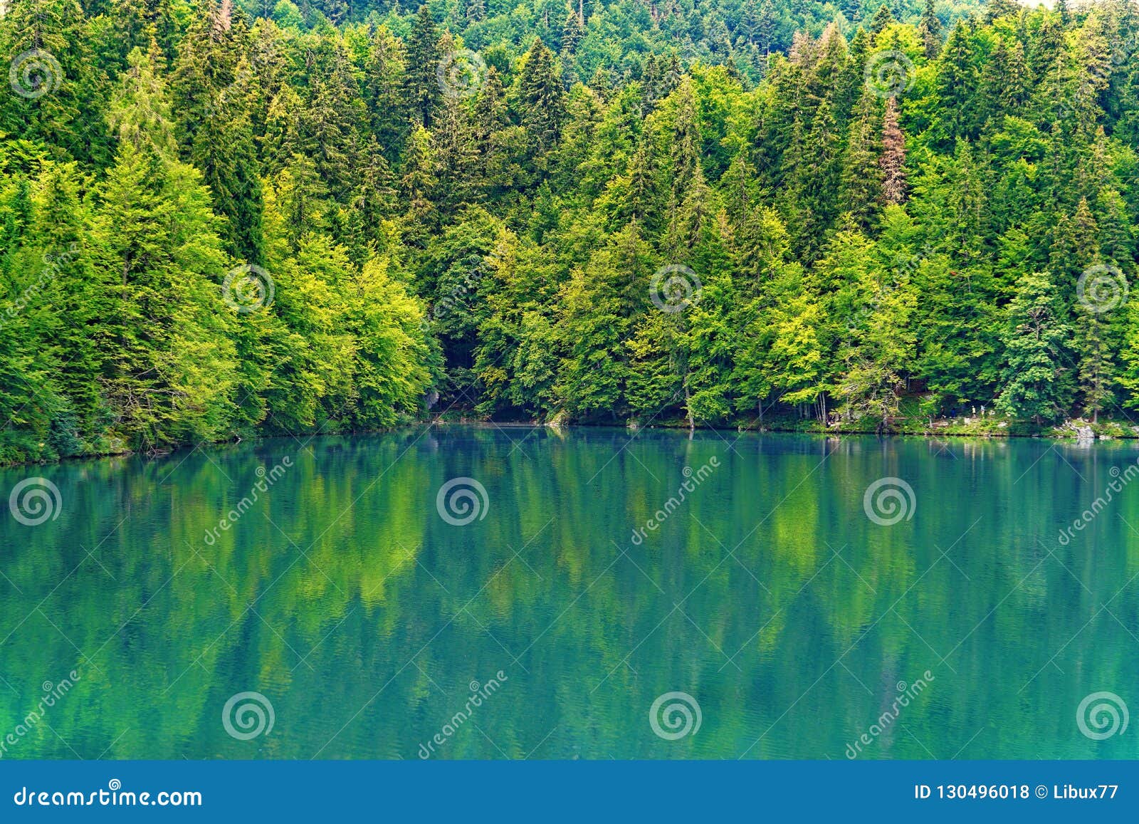 Natuurlijke Landschap Van De Meer Het Bosberg Stock Foto - Image of ...
