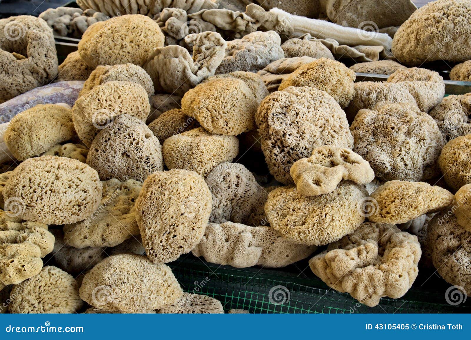 Natuurlijke Overzeese Spons Stock Afbeelding - Image of gezondheid ...