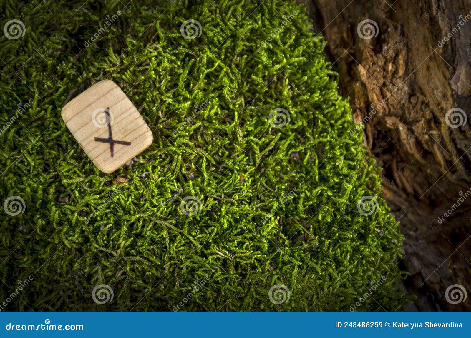 Nauthiz rune reversed stock image. Image of green, mystique - 248486259