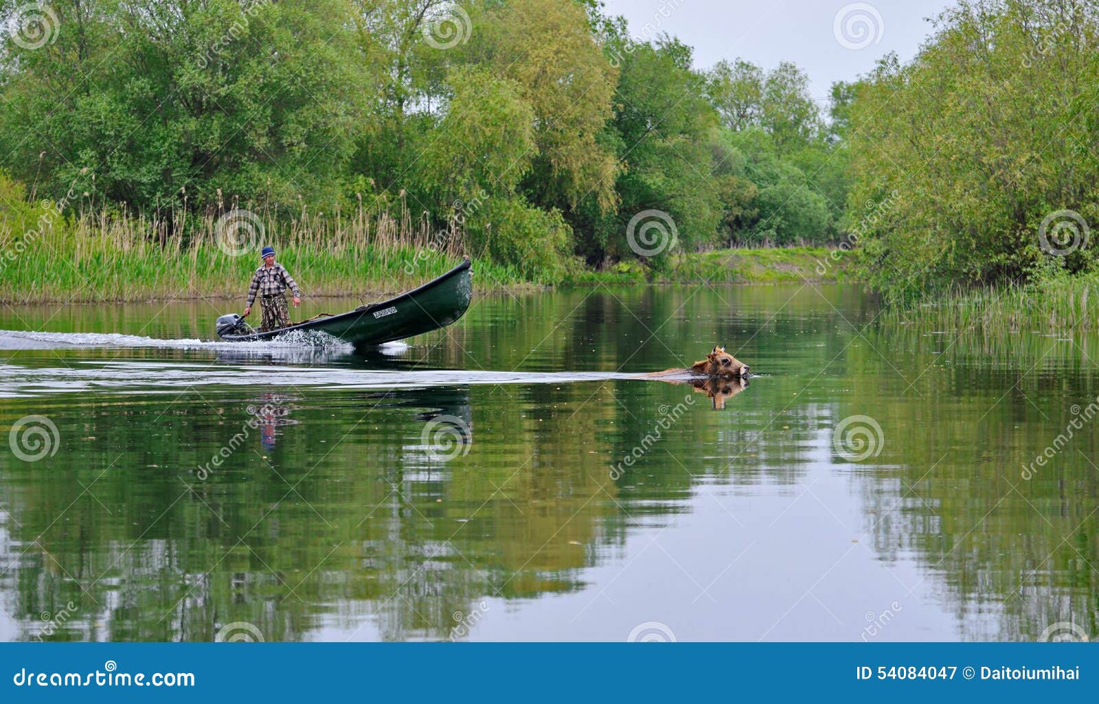 Nautic cowboy editorial photography. Image of beef, alpine - 54084047