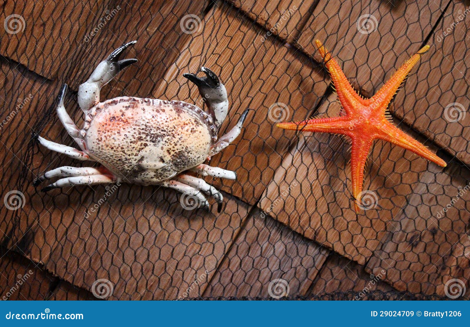 Nautical Decor on Black Fish Netting Stock Image - Image of starfish ...