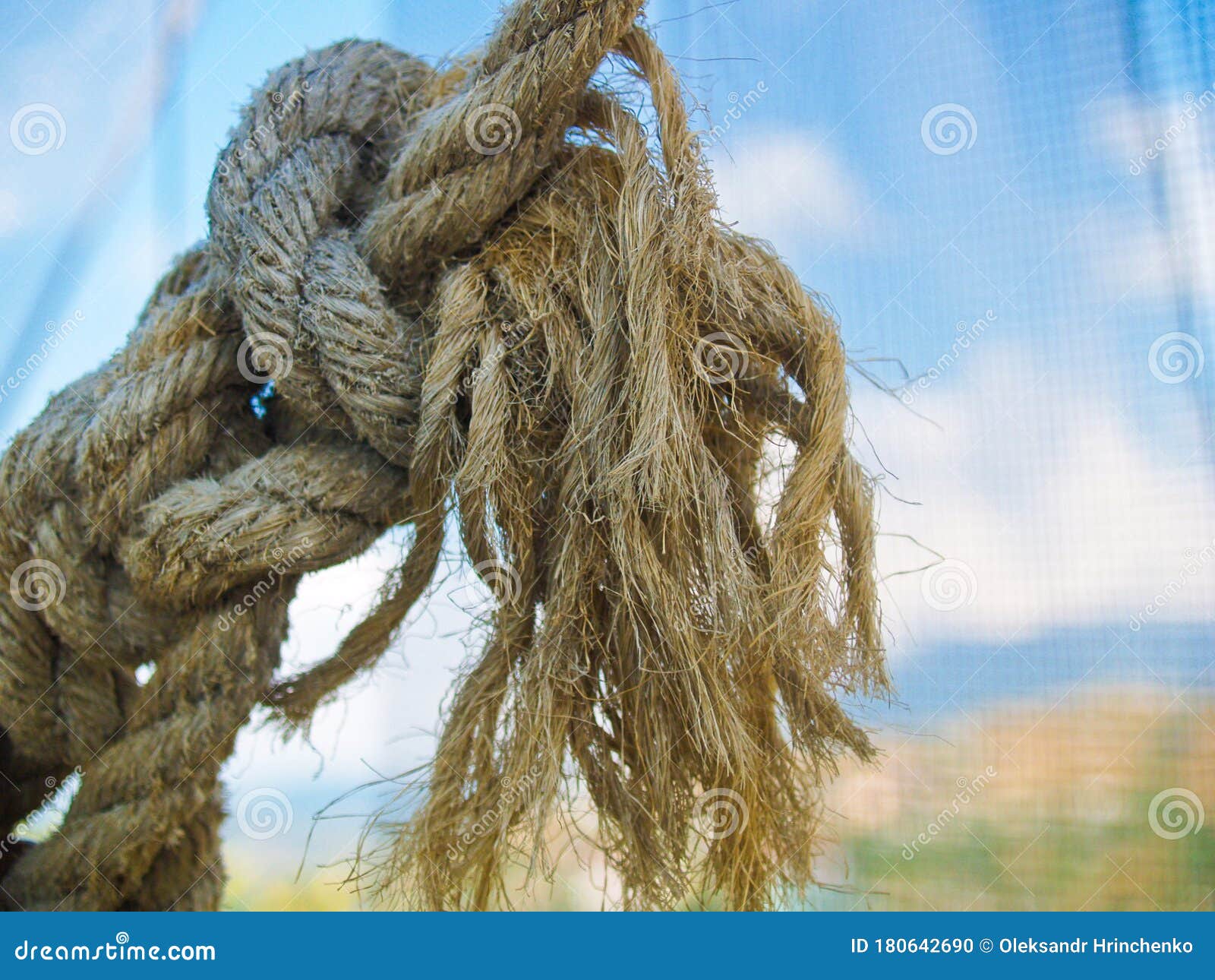 Nautical Knot and Rope by the Sea Stock Photo - Image of cord, object ...