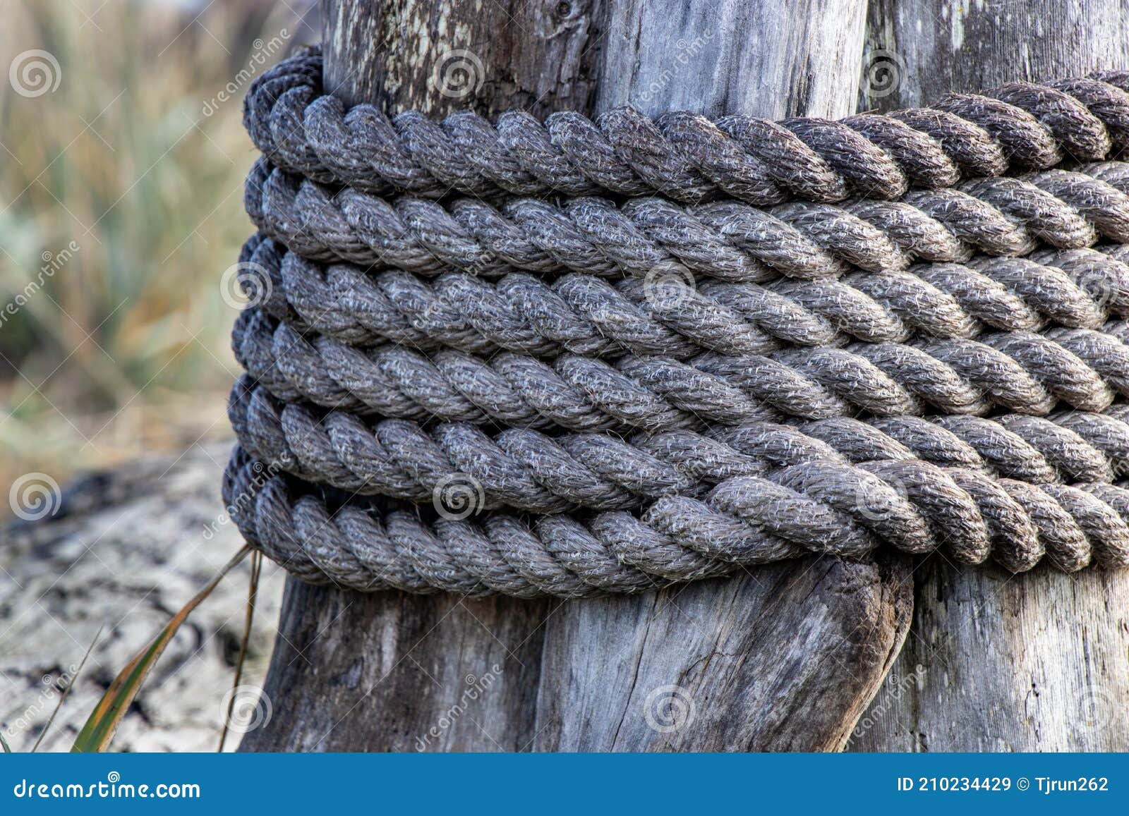 Nautical Rope Wrapped on Tree Stump Stock Image - Image of weathered ...