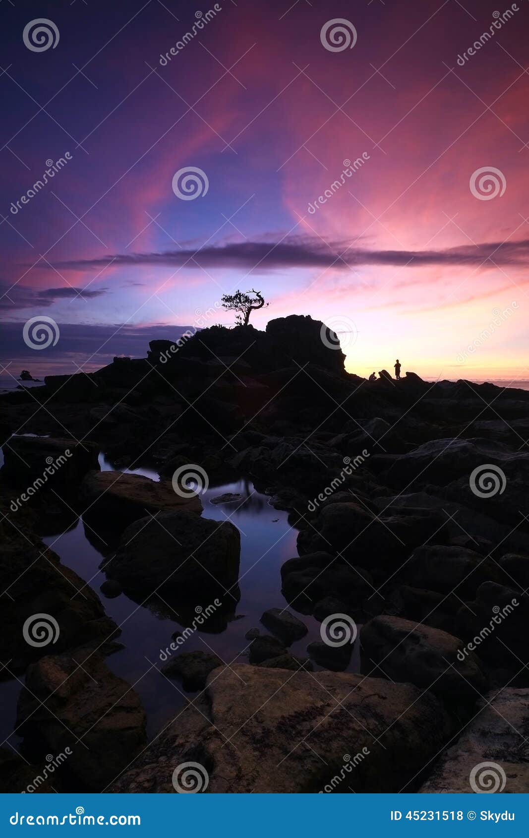 Isolated Tree during Sunset Labuan Island Stock Photo - Image of local ...