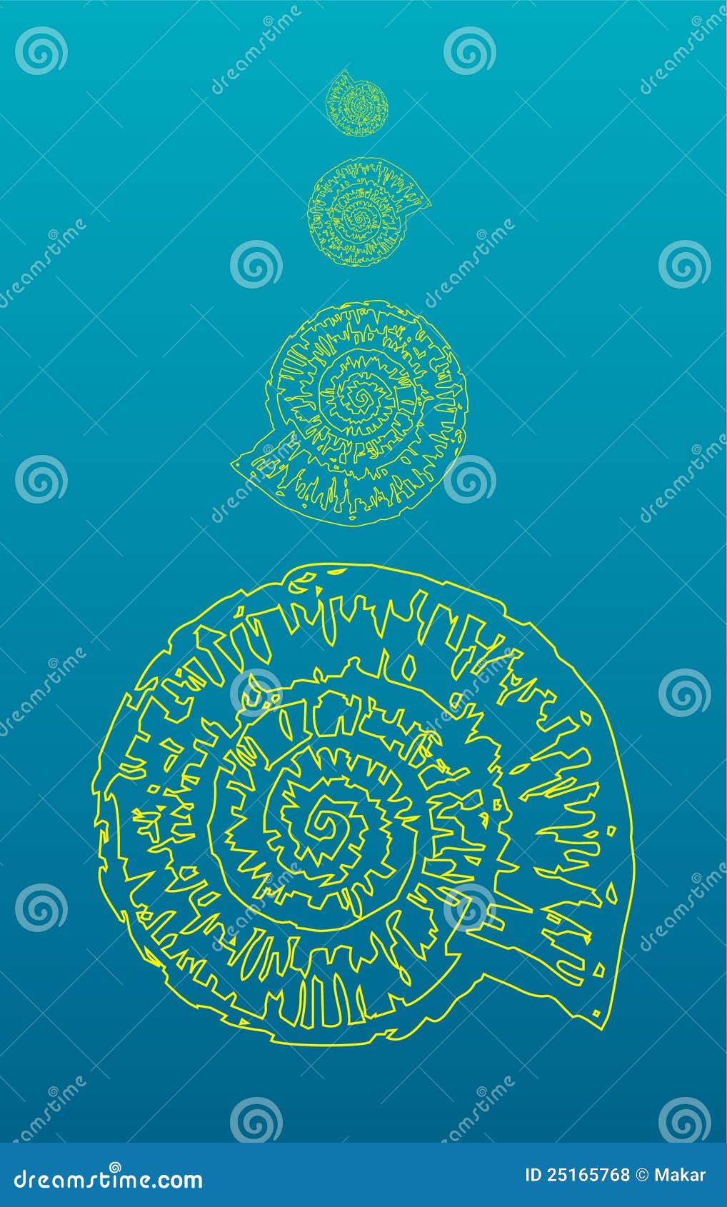 Nautilus drawing stock vector. Illustration of outline - 25165768