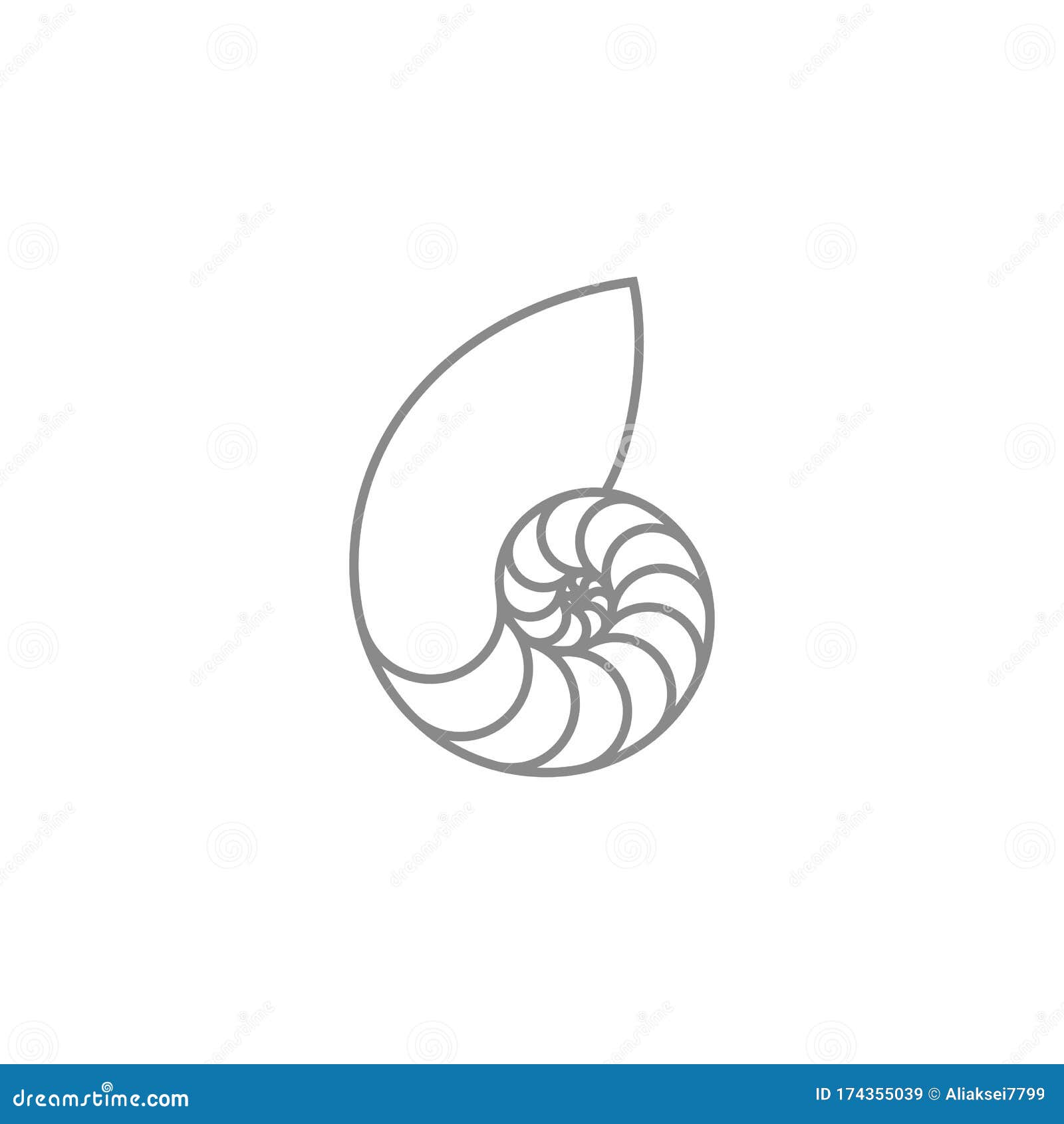Nautilus. Outline style stock vector. Illustration of vector - 174355039