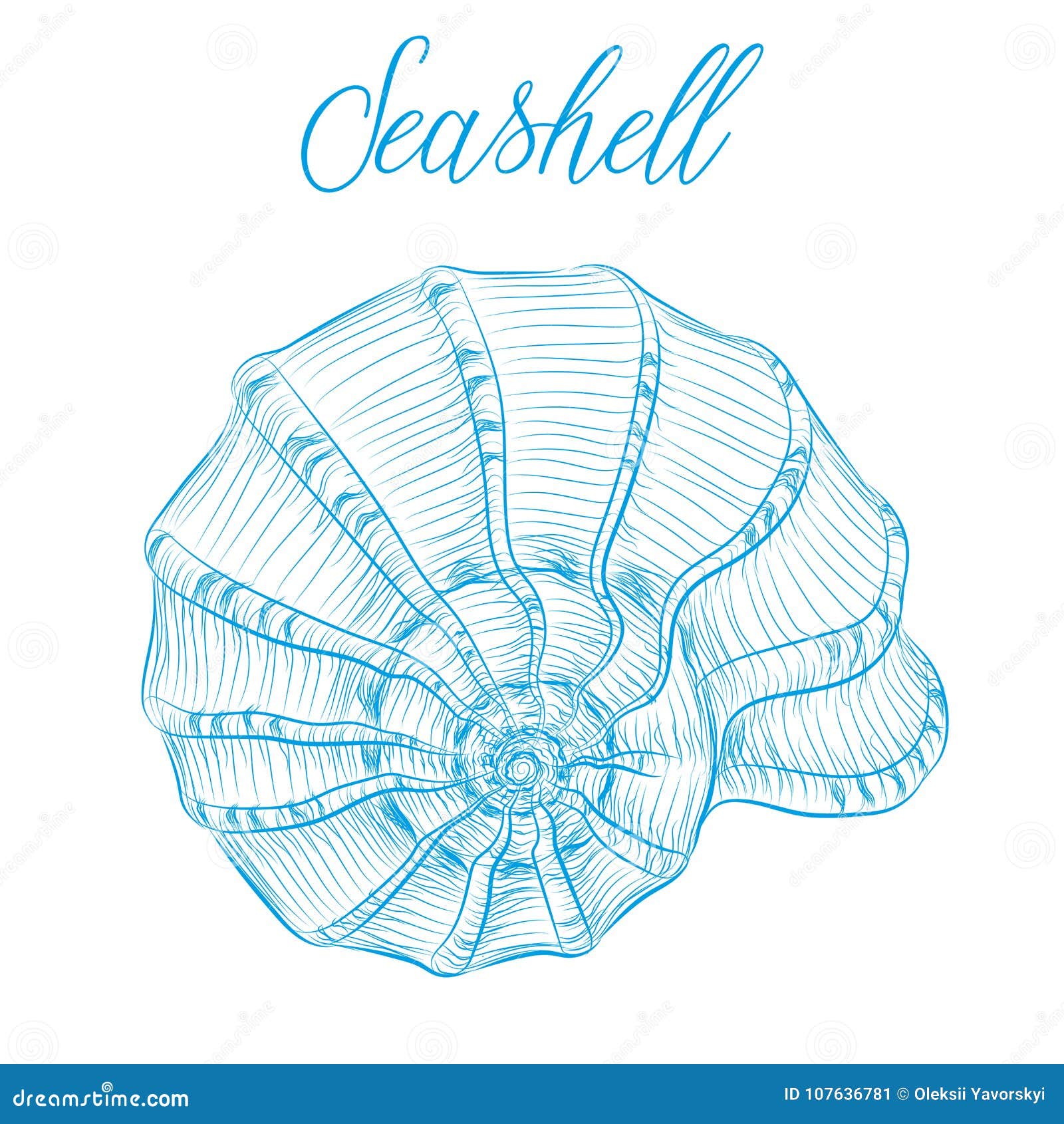 Nautilus Sea Shell Hand Drawn Blue Linear Vector Illustration.Marine ... Nautilus Sea Shell Hand Drawn Blue Linear Vector Illustration.Marine ...