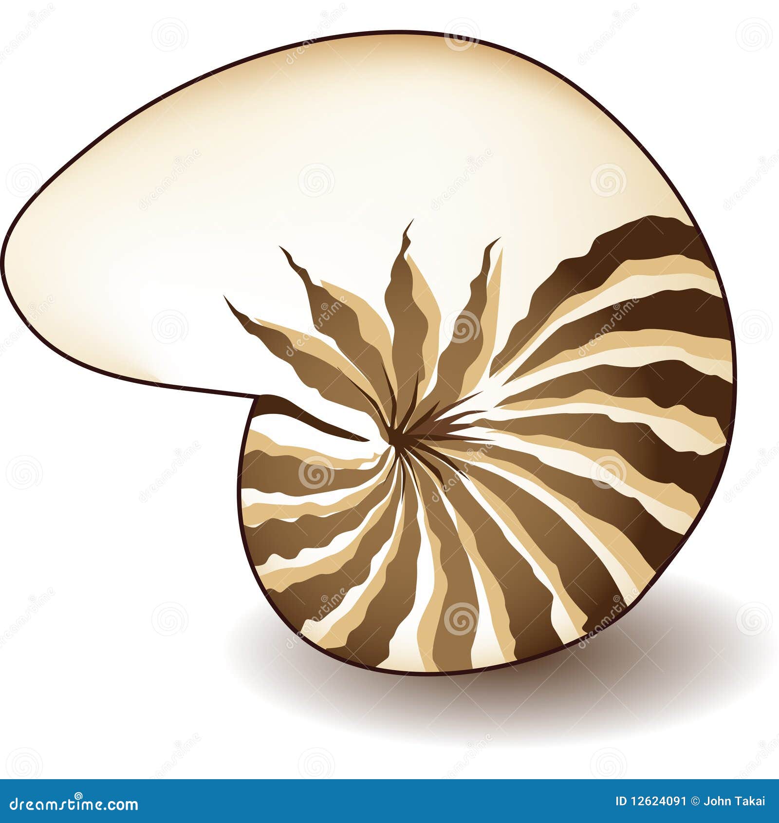 Nautilus Shell Illustration Cartoon Vector | CartoonDealer.com #4769079 Nautilus Shell Illustration Cartoon Vector | CartoonDealer.com #4769079