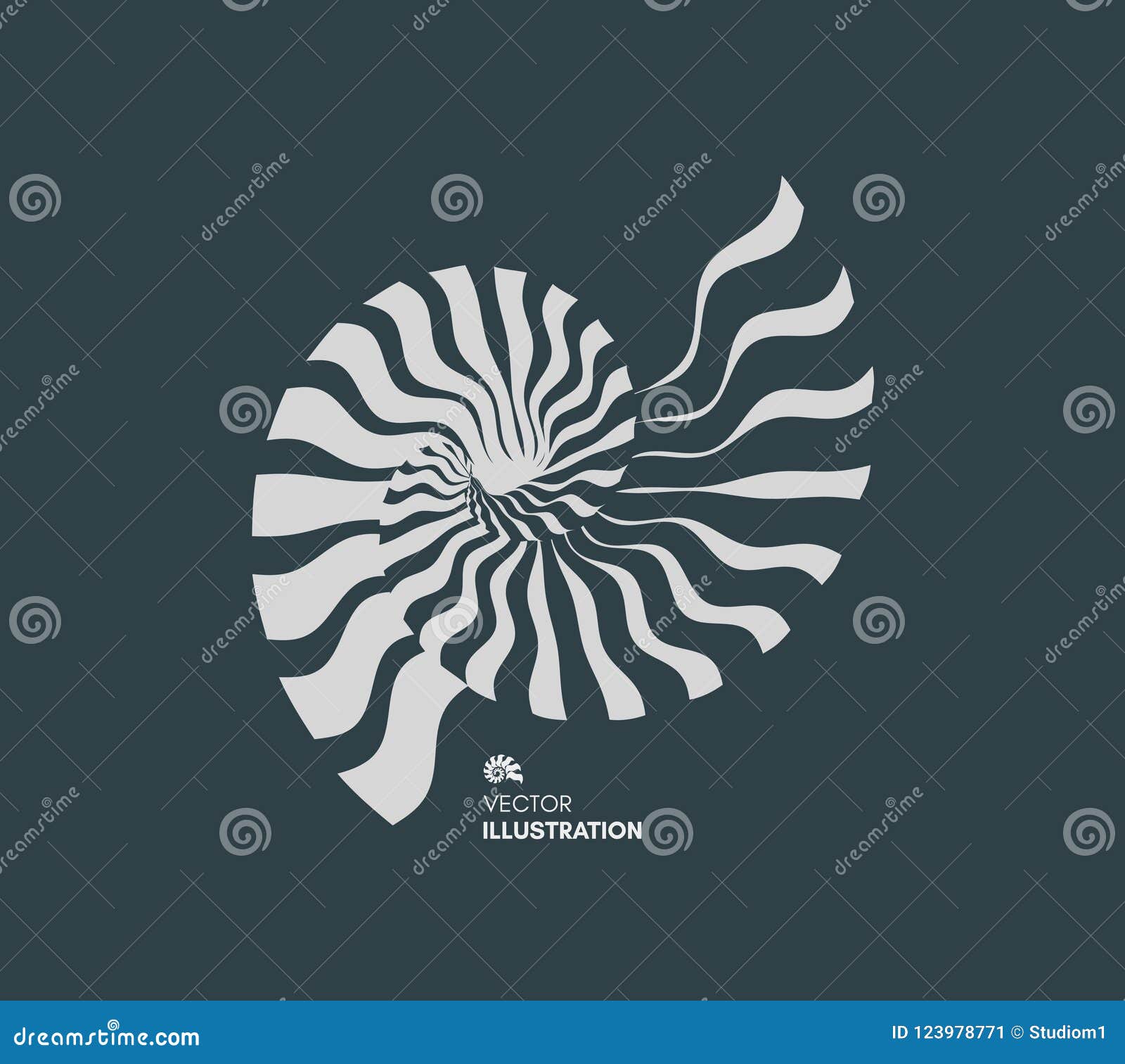 Nautilus Shell Stock Illustrations – 4,212 Nautilus Shell Stock ...