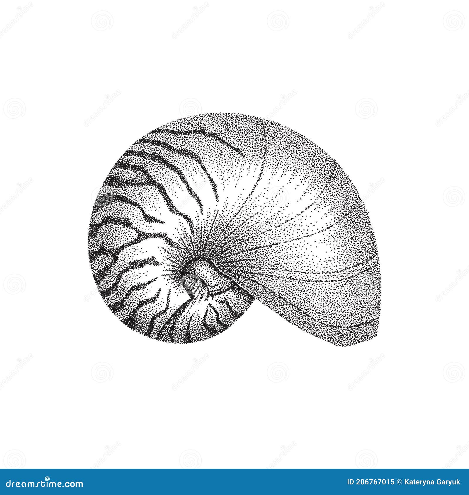 Nautilus shell dotwork art stock vector. Illustration of graphic ...