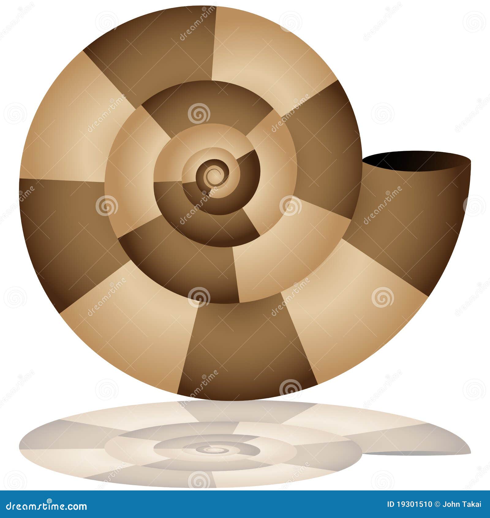 Nautilus Shell Illustration Cartoon Vector | CartoonDealer.com #4769079 Nautilus Shell Illustration Cartoon Vector | CartoonDealer.com #4769079