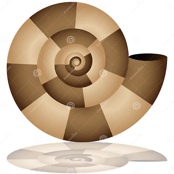 Nautilus Shell Icon stock vector. Illustration of element - 19301510