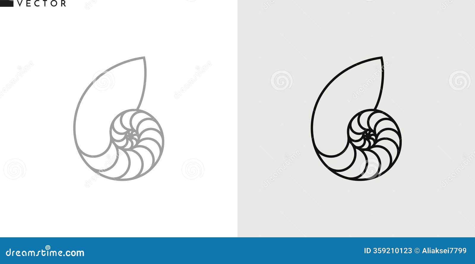 Nautilus Shell Icon. Sea Shell Vector Stock Vector - Illustration of ...