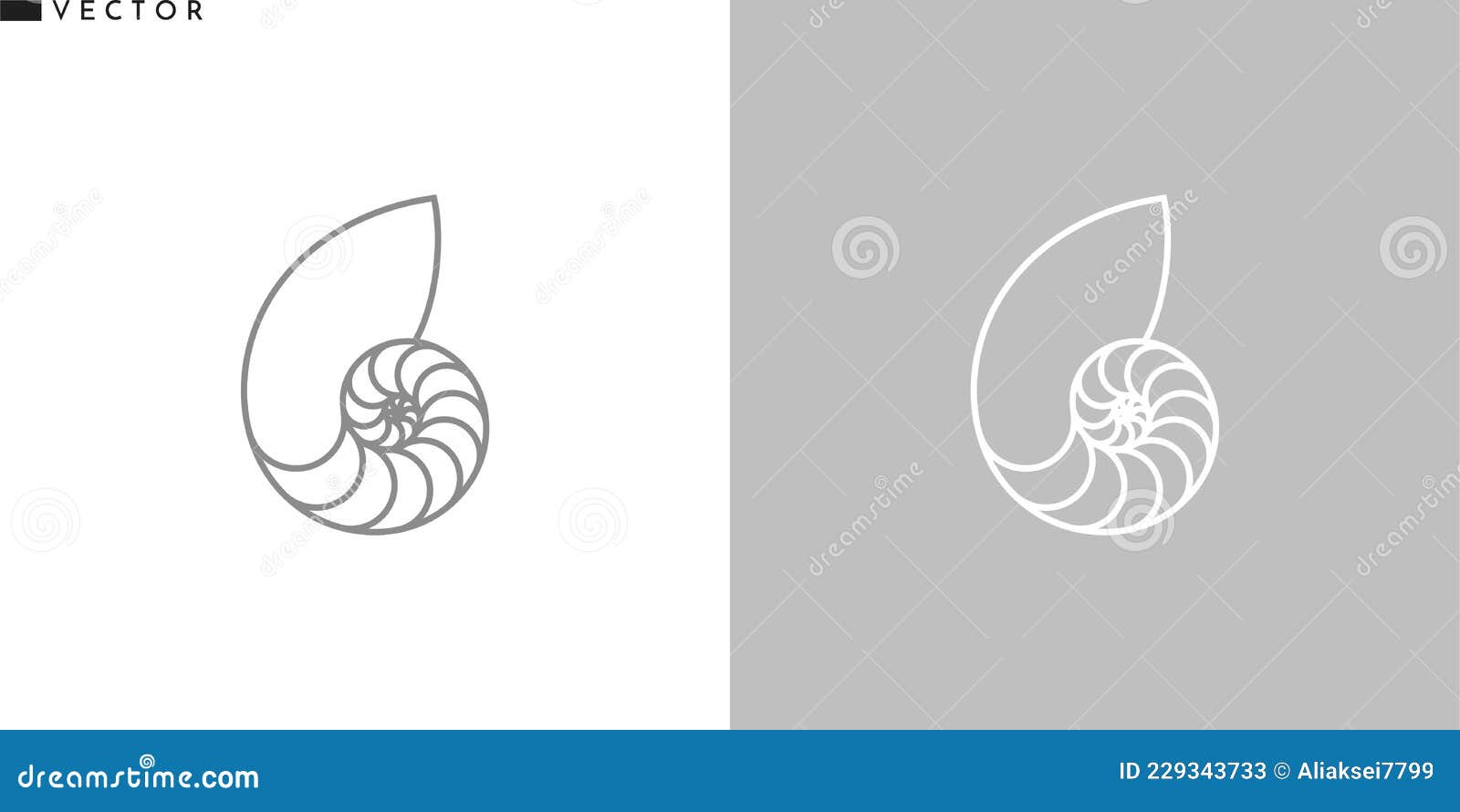 Nautilus Shell. Outline Style Icon Stock Vector - Illustration of ...