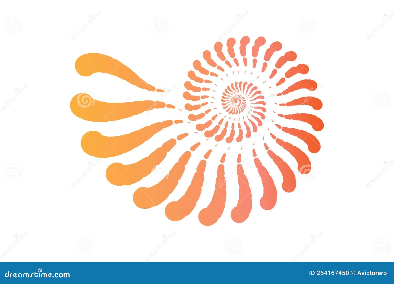 Nautilus Shell Spiral Shape Logo Stock Vector - Illustration of marine ...