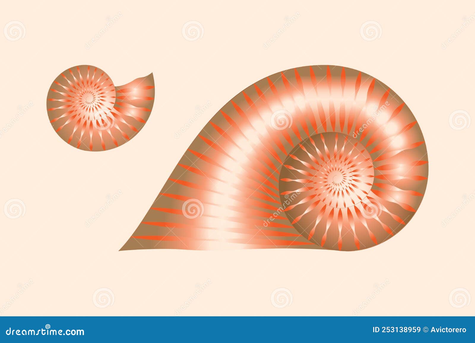 Nautilus Shell Symbol. Textured Nautilus Conch Stock Vector ...