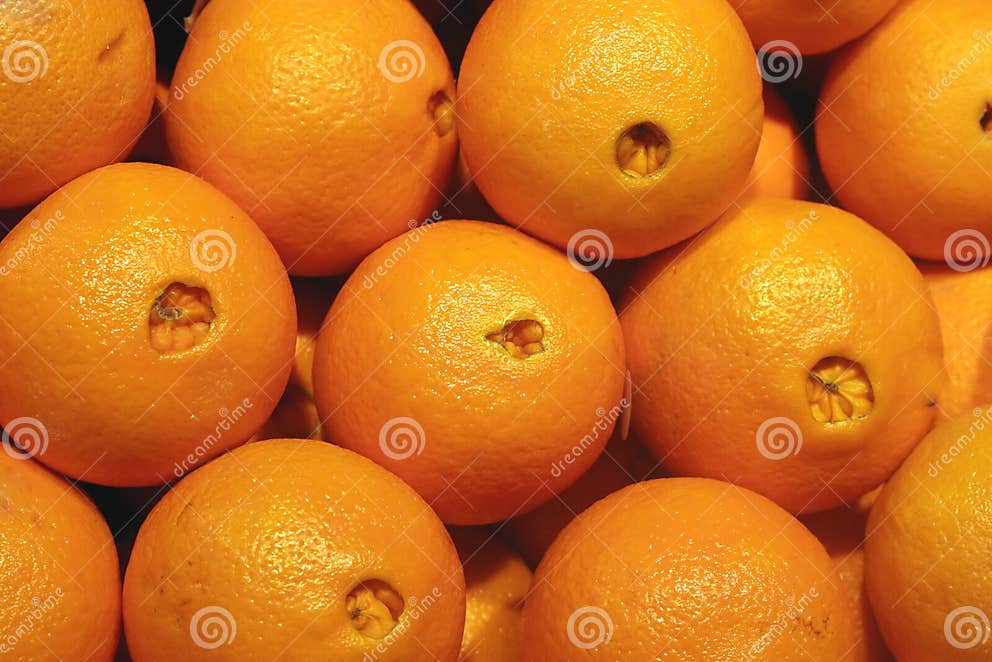 Naval Oranges stock image. Image of delicious, healthy - 3258439