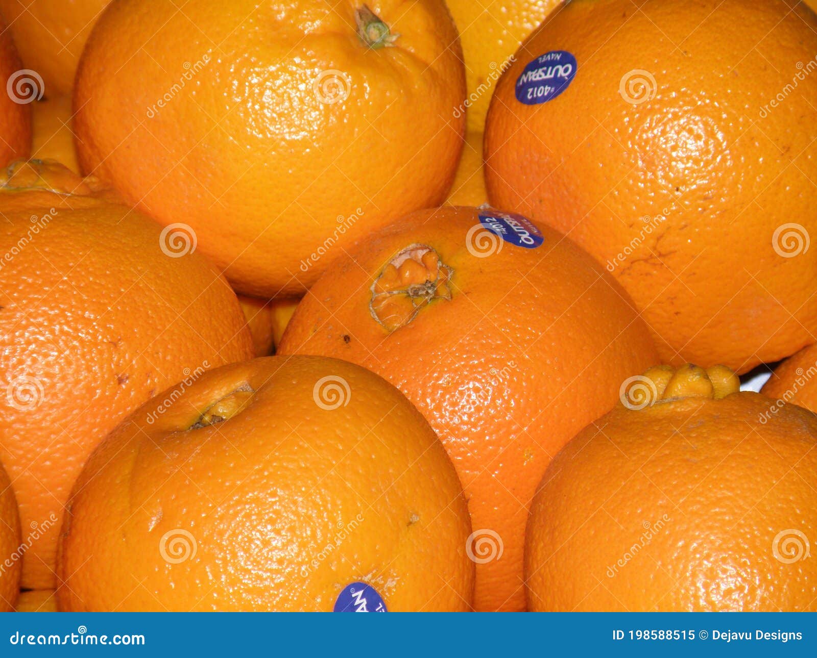 Naval Oranges at a Farm Stand Stock Image - Image of fruit, grove ...