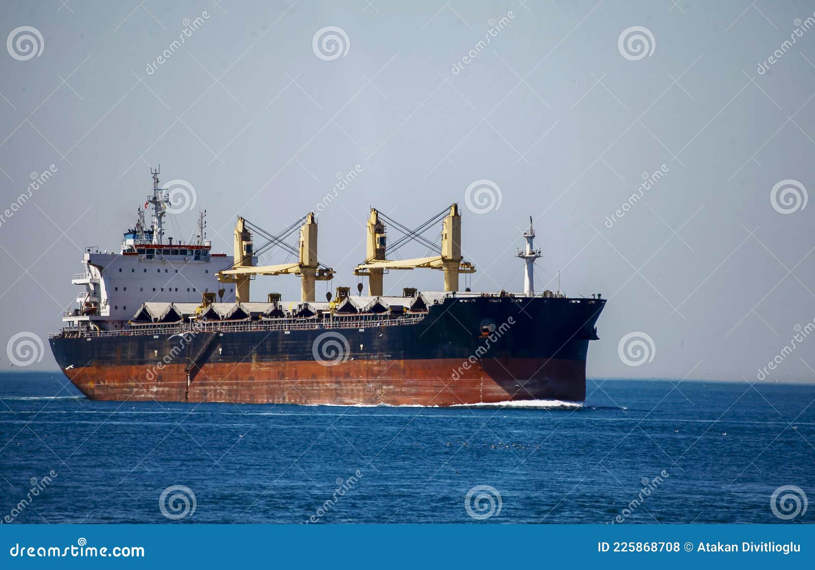 Nave portacontainer fotografia stock. Immagine di nave - 225868708