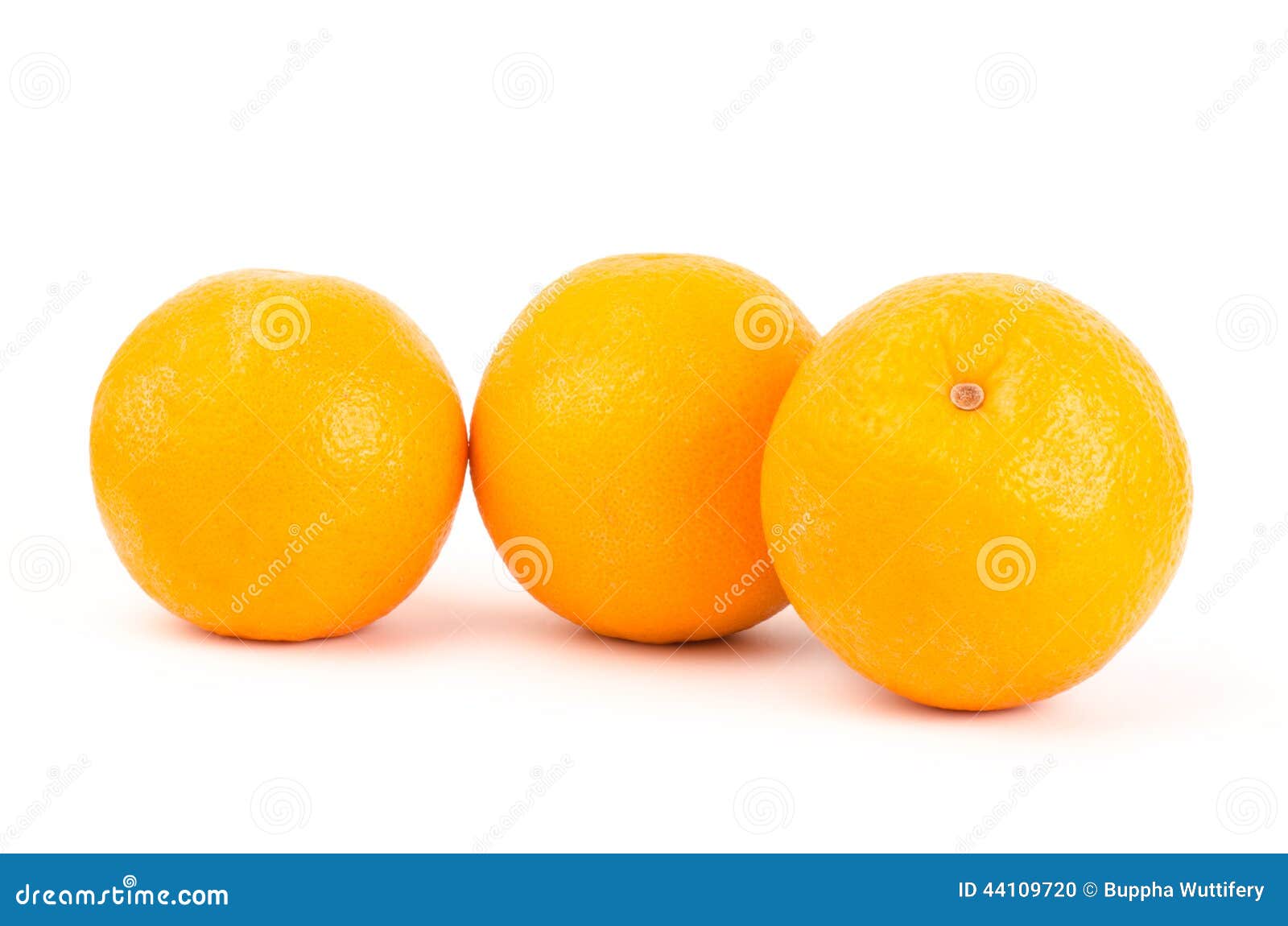 Navel orange fruit stock photo. Image of juicy, sour - 44109720