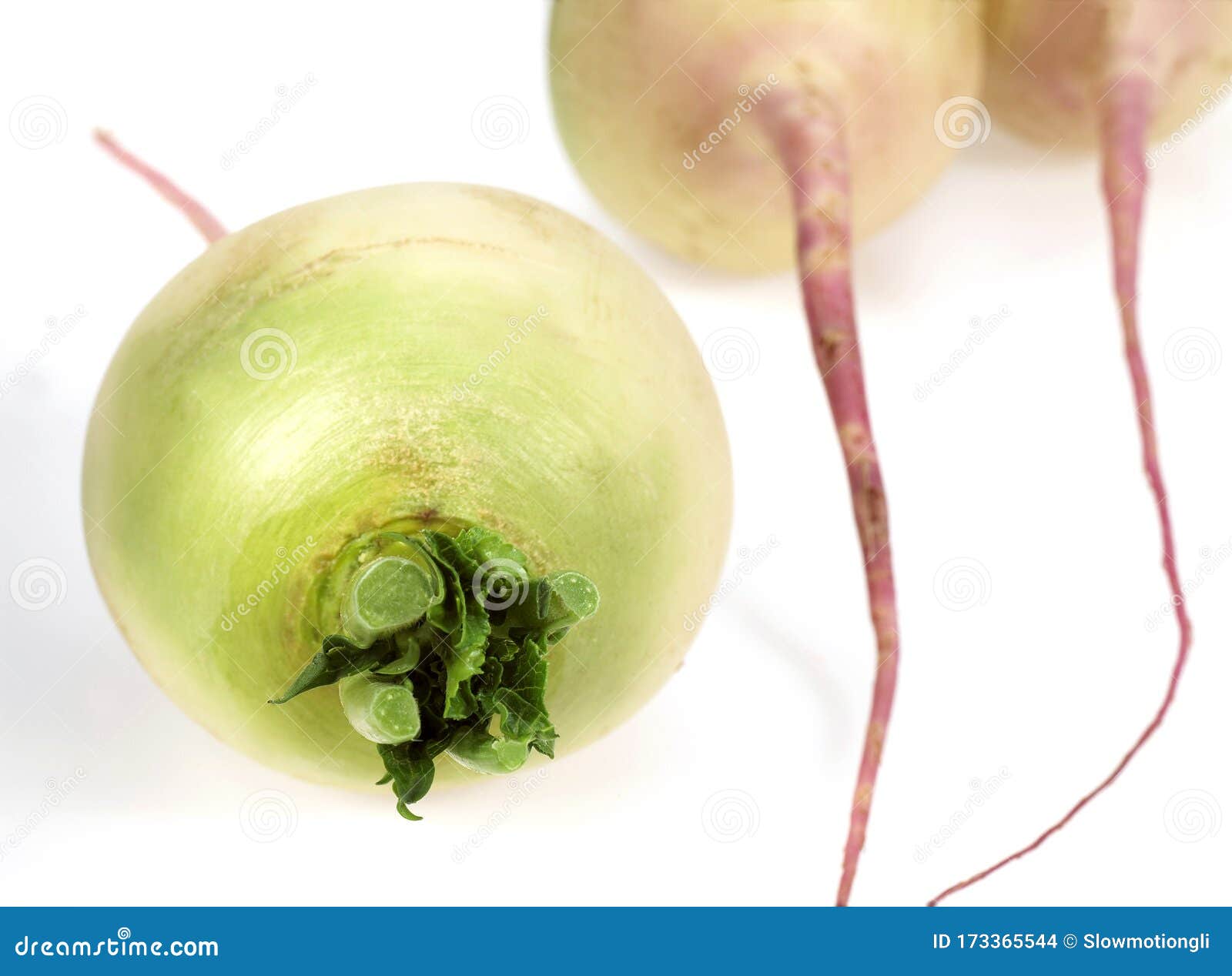 NAVET stock photo. Image of indoor, ingredient, botany - 173365544