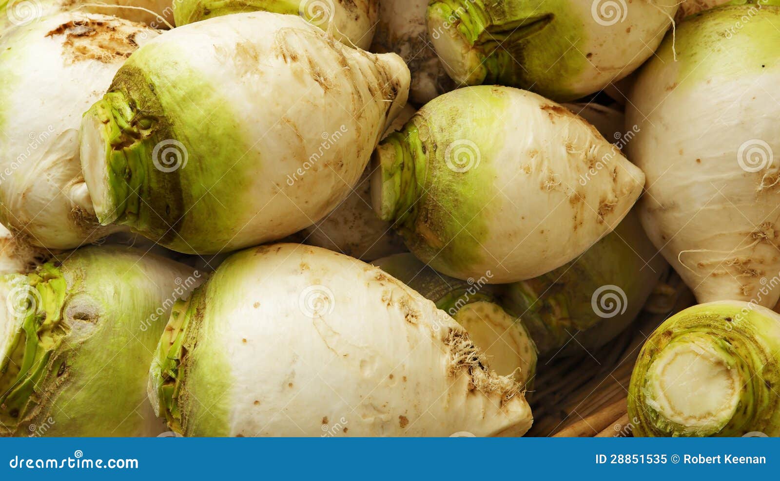 Navets verts et blancs image stock. Image du boire, blanc - 28851535