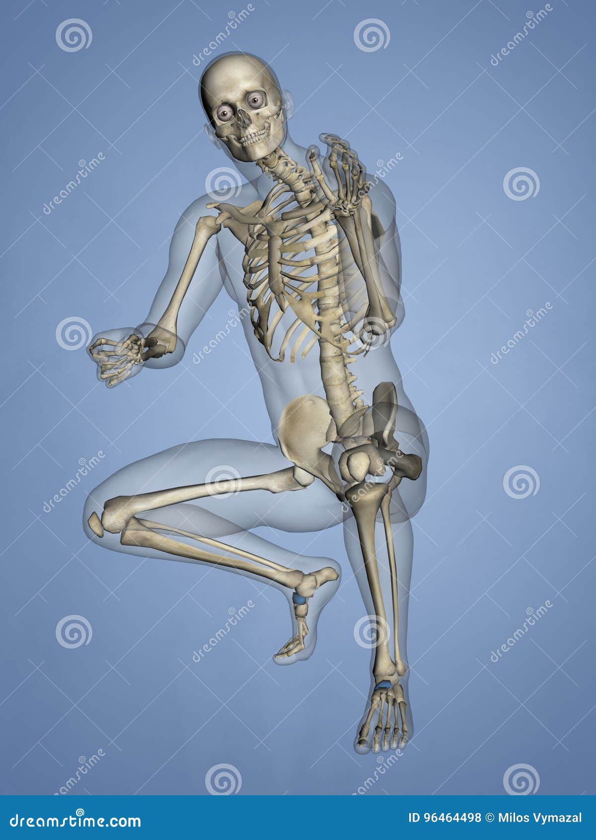 Navicular Bone, 3D Model stock illustration. Illustration of medical ...