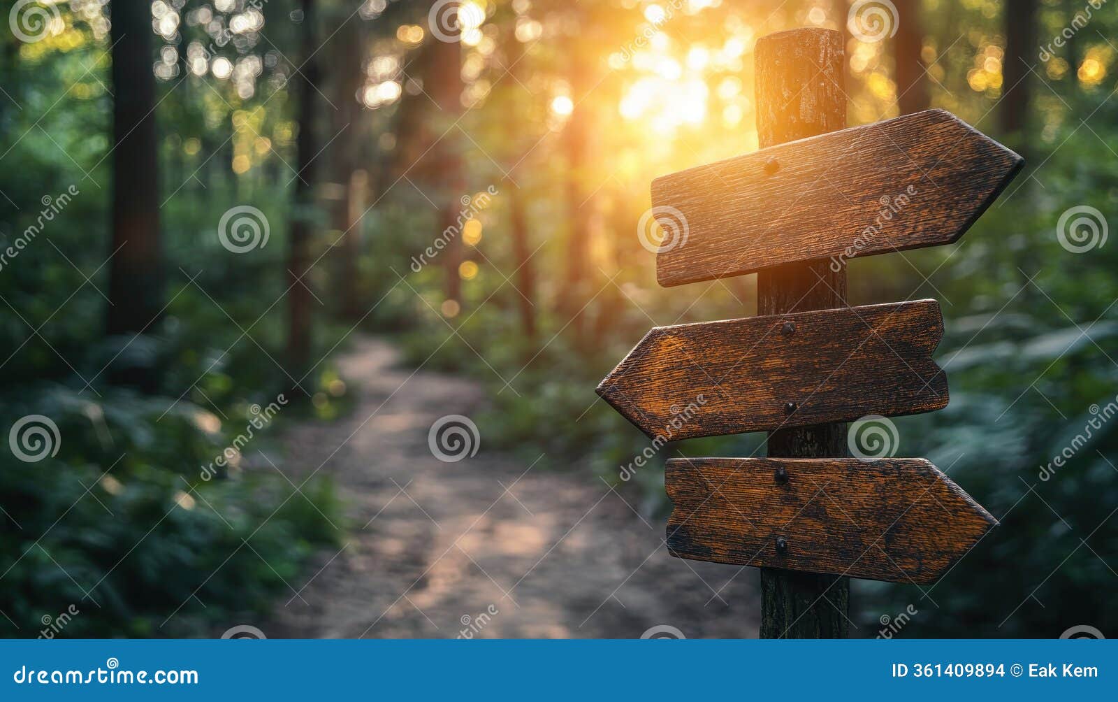 Navigate Ethical Pathways Discover Integrity, Honesty, and Ethics ...