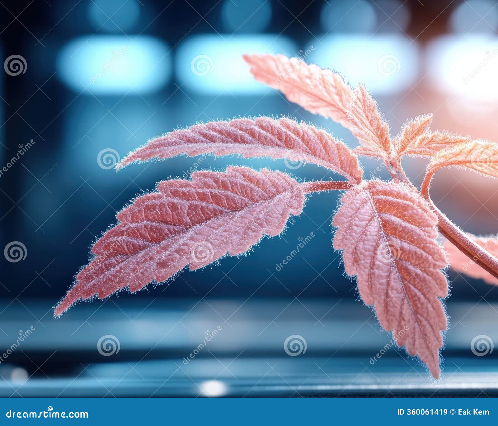 Navigate Your Future Discover an AI-Generated Career Development ...